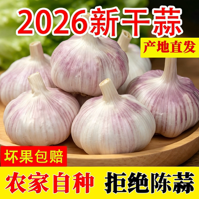 新鲜大蒜营养美味蒜香浓郁