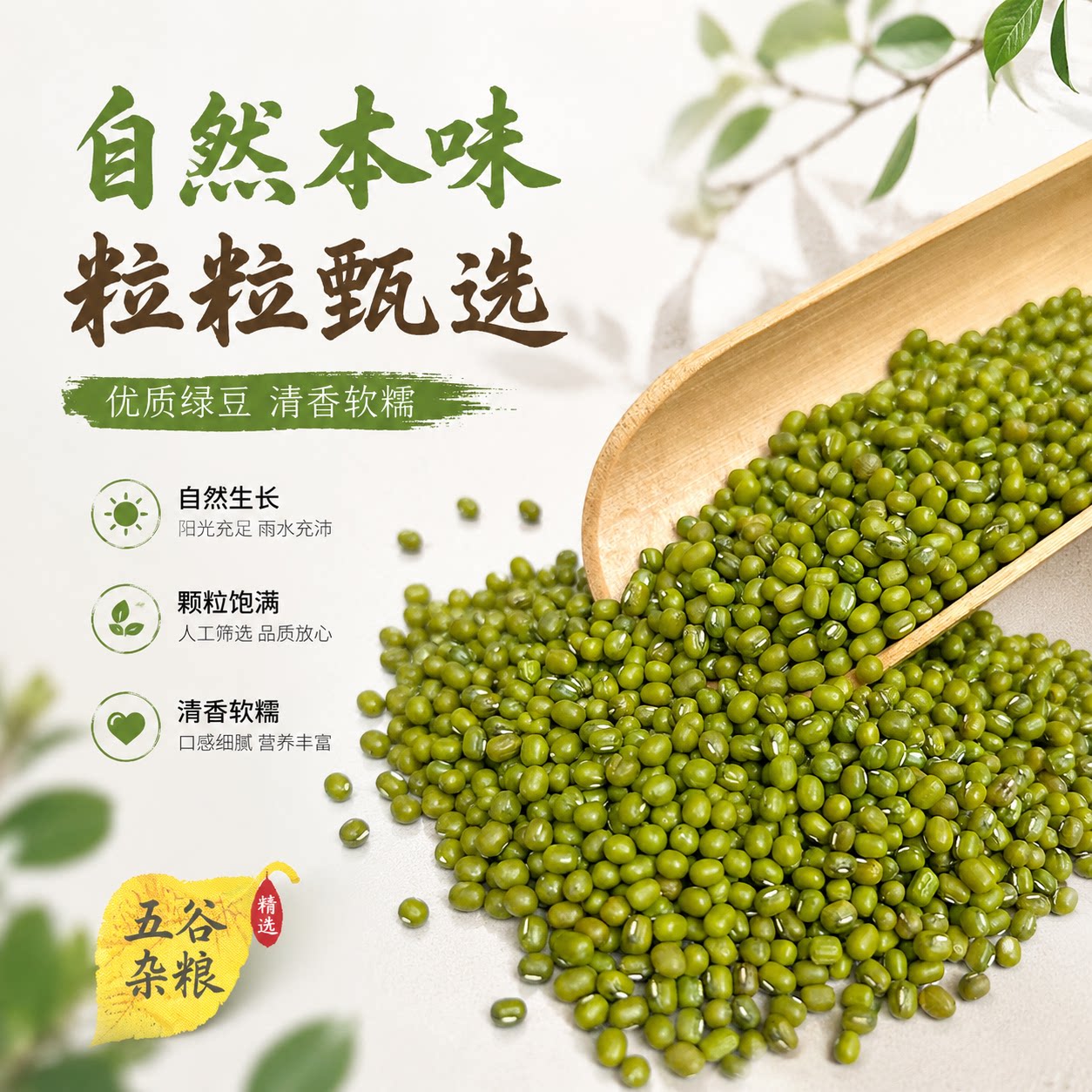【中农说】绿豆东北农家大颗粒高品质新鲜可发芽营养早餐豆浆原料