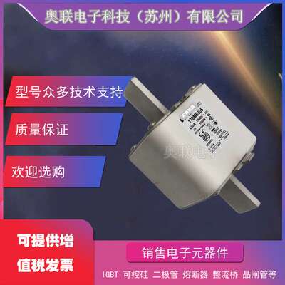 巴斯曼熔断器保险丝170M5197 170M5198 170M5199 170M5200