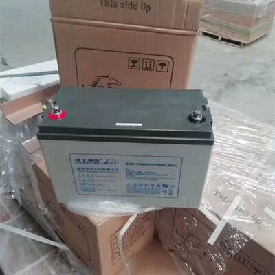 理士LEOCH蓄电池12V100AH备用电源DJM12100S免维护直流屏 太阳能
