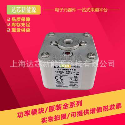 170M5388 170M5389 170M5390 170M5391 170M5392 170M5393熔断器