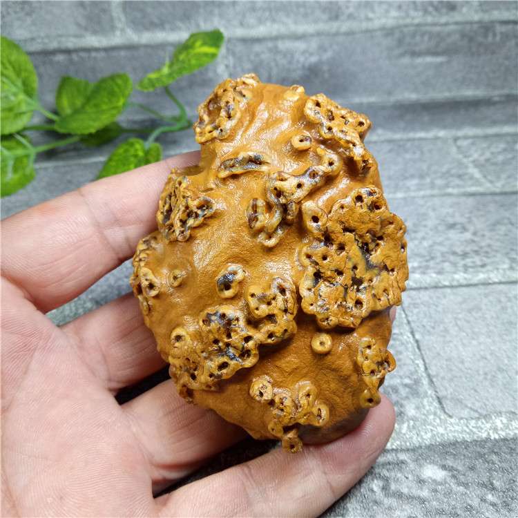 供应珠宝奇石筋脉石原石小摆件 阿拉善玛瑙手把件 风景石花开富贵