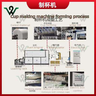 Disposable biodegradable lunch box cup making machine