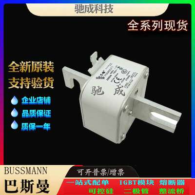 巴斯曼170M6069 170M6070 170M6071 厂家直供 零售 快熔保险丝