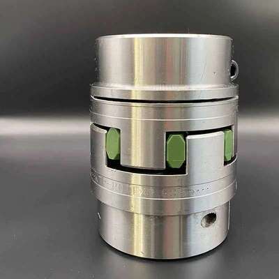 德国KTR-ROTEX-BTAN型带刹车轮梅花联轴器Coupling combined with
