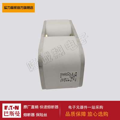 熔断器170M5059 170M5060 170M5061 170M5062 170M5063 170M5064
