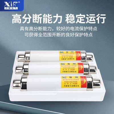 高压限流熔断器户内10KV成套箱变SFLAJ保险管丝XRNT-12/100a200A