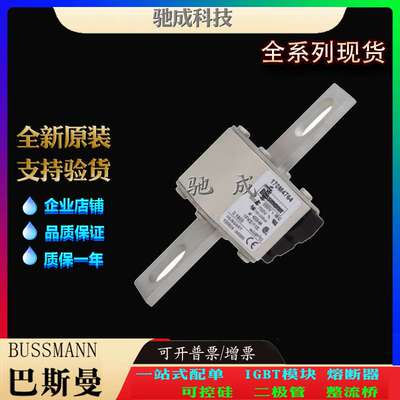 巴斯曼170M4765 170M4766 170M4767 现货供应厂价直供 快熔保险丝