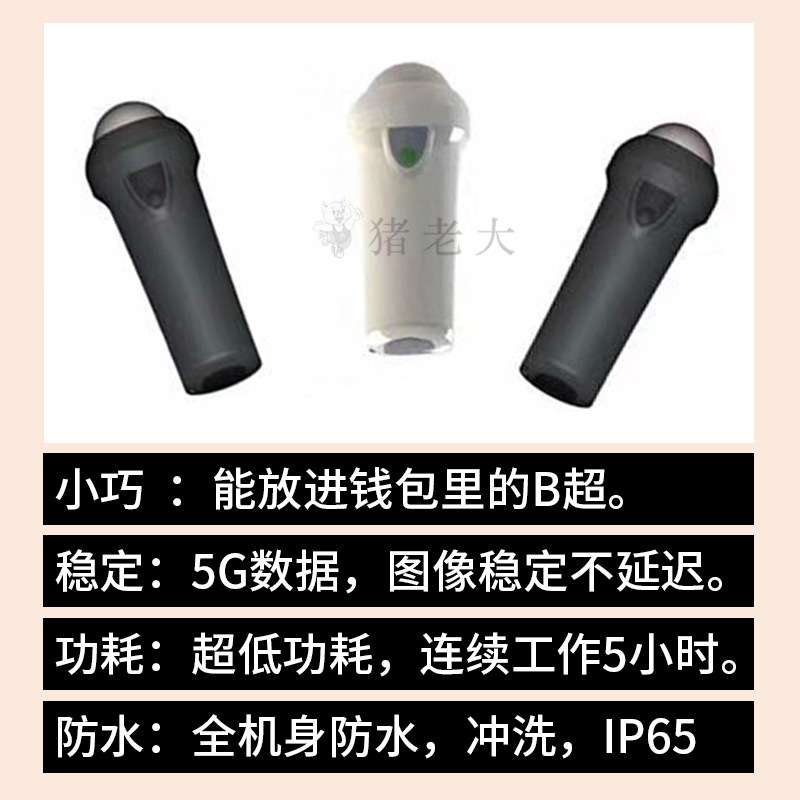 无线猪用B超便携式手机b超机母猪测孕仪妊娠检查器畜牧养殖器械