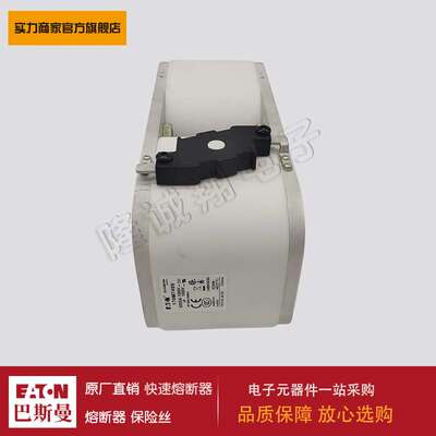 熔断器170M7260 170M7481 170M7489 170M7491 170M7499 170M7500