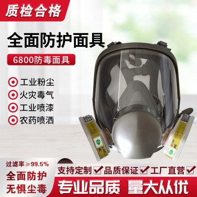 6800防毒面具喷漆甲醛化工全面罩