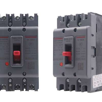 小型漏电保护断路器    DZ47sLE 2P C 63A      DZ47SLEN2C63