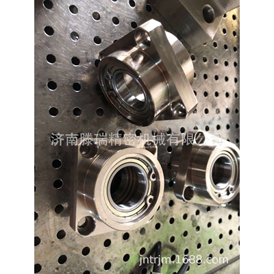 BGFSZ6905ZZ-40嵌入型带座轴承BGFRZ,BGFSZ,BGFCZ,BGFRZB,BGFCZB