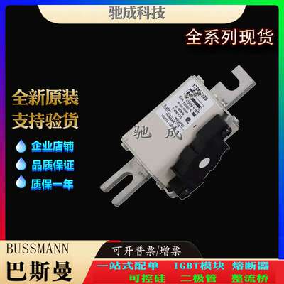 巴斯曼170M3223 170M3228 170M3229 长期 销售价优 方体熔断器