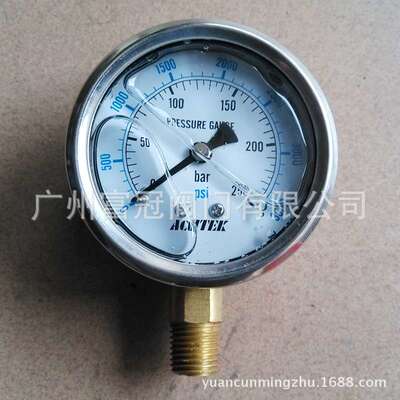 ACUTEK带支架轴向耐震压力表 YN60Z  16bar PT1/4 液压抗震压力表