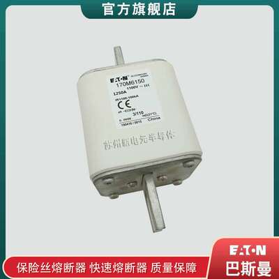 170M6268 170M8641 170M6150 巴斯曼bussmann快速熔断器保险丝