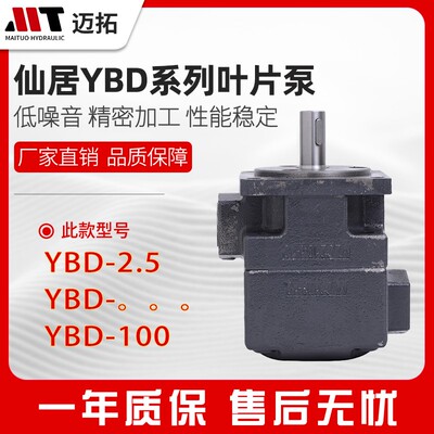 YBD-100仙居永灵叶片泵YBD-2.5/4/6/10/16/20/25/32/63/80/125正