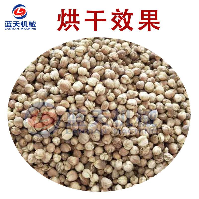 全自动白豆蔻烘干机 小型商用壳蔻白蔻烘干房 电加热豆蔻烘干设备