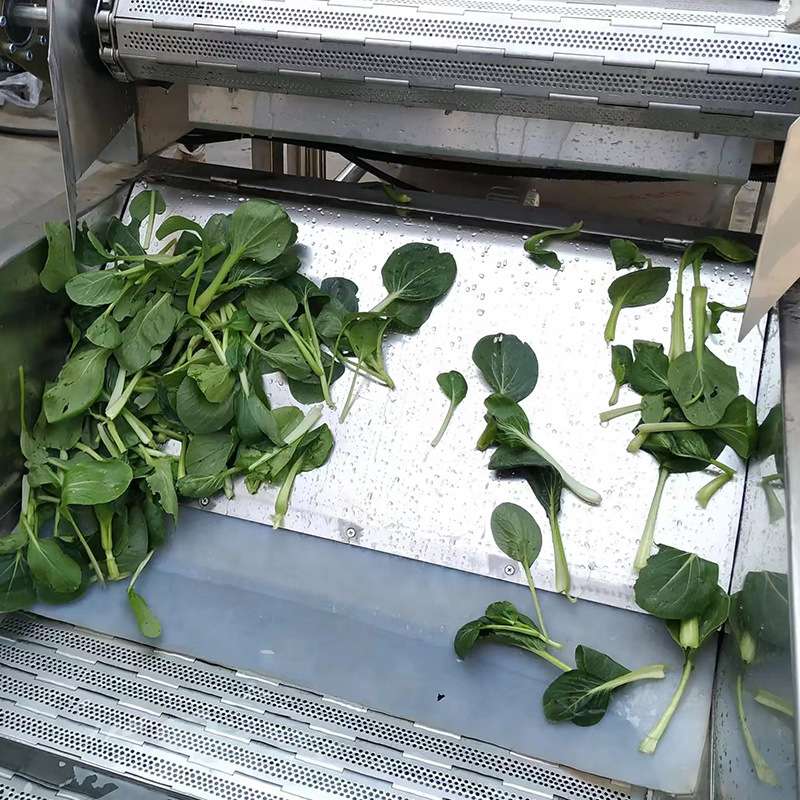 叶菜加工生产线 叶菜类洗菜机 新鲜果蔬菌类叶菜根茎清洗加工机器