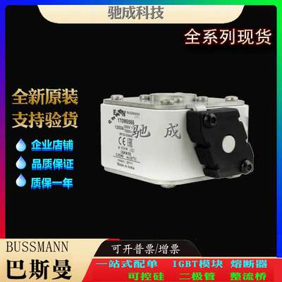 巴斯曼170M6564 170M6565 170M6566 现货供应 零售 高速熔断器