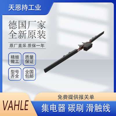 德国 VAHLE法勒 SK-DSW2/40-04-14-FN (168151)碳刷