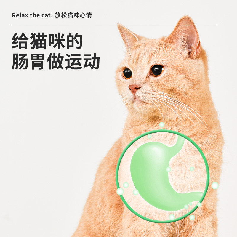 猫薄荷猫咪磨牙棒洁齿幼猫啃咬逗猫棒木天蓼换牙期用品猫零食玩具