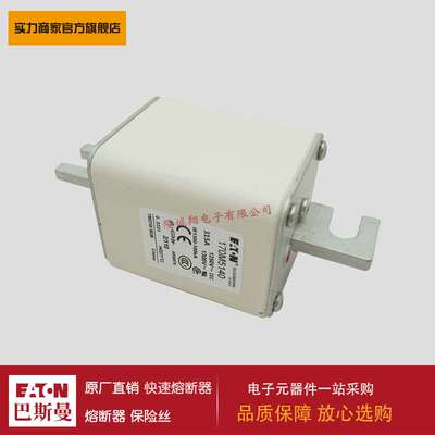 熔断器170M4147 170M5138 170M5139 170M5140 170M5141 170M5142