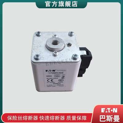 170M5394 5395 5396 5397 5398 巴斯曼bussmann快速熔断器保险丝