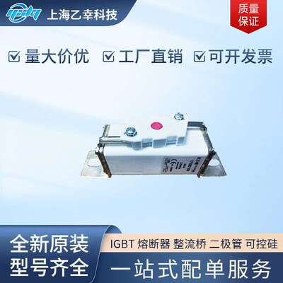 巴斯曼熔断器  170M2010 170M2011 170M2012 170M2013 170M2014