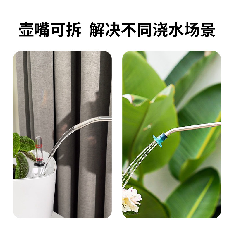不锈钢长嘴洒水壶家用透明菱形浇水壶园艺浇花盆栽神器工具大容量