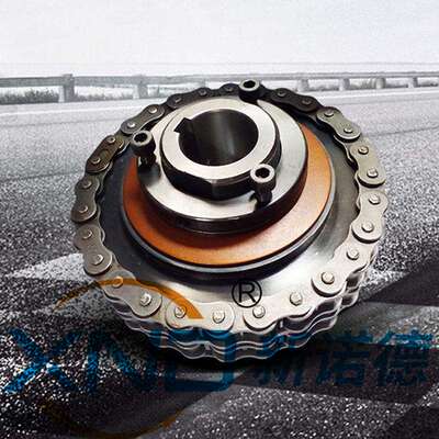 TL200-1C/2C带联轴器安全离合器/TL-200C链轮联轴器扭矩限制器