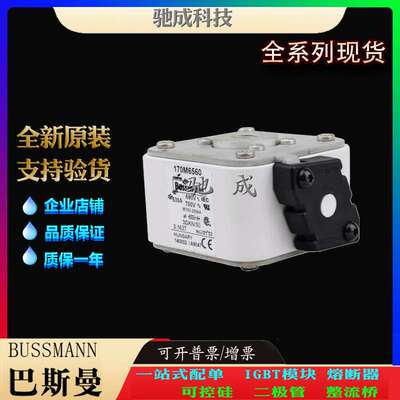 巴斯曼170M6558 170M6559 170M6560 厂价直销批零兼营 方体熔断器
