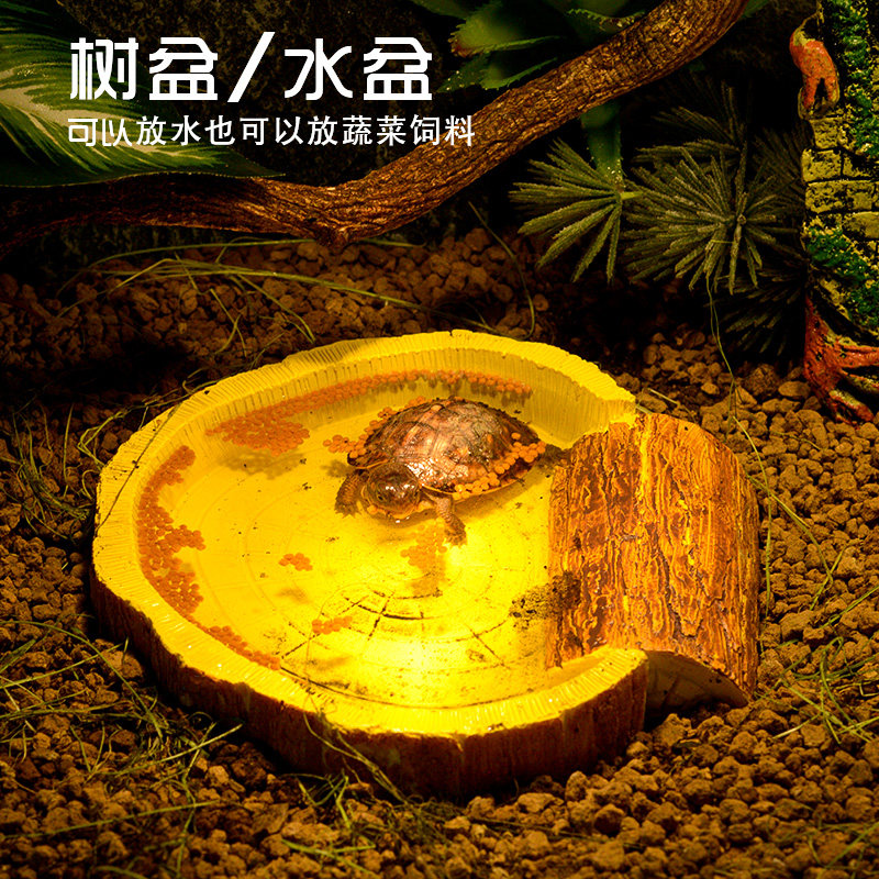 爬虫陆龟食盆水盆蜥蜴自动饮水器爬宠喝水器蜥蜴绿鬣陆龟蜘蛛鬃狮
