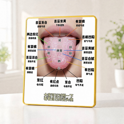 舌诊脏腑体质辨别科普展示摆件