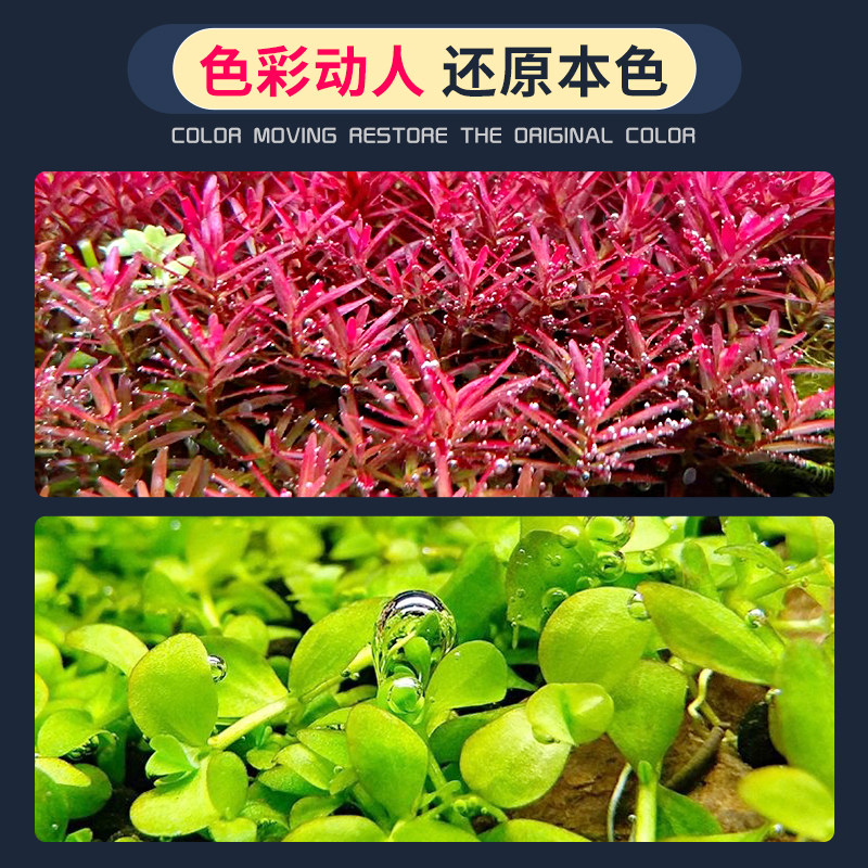 荣兴达水族灯铝合金鱼缸灯水草led灯架节能高亮夹灯增艳六排多彩