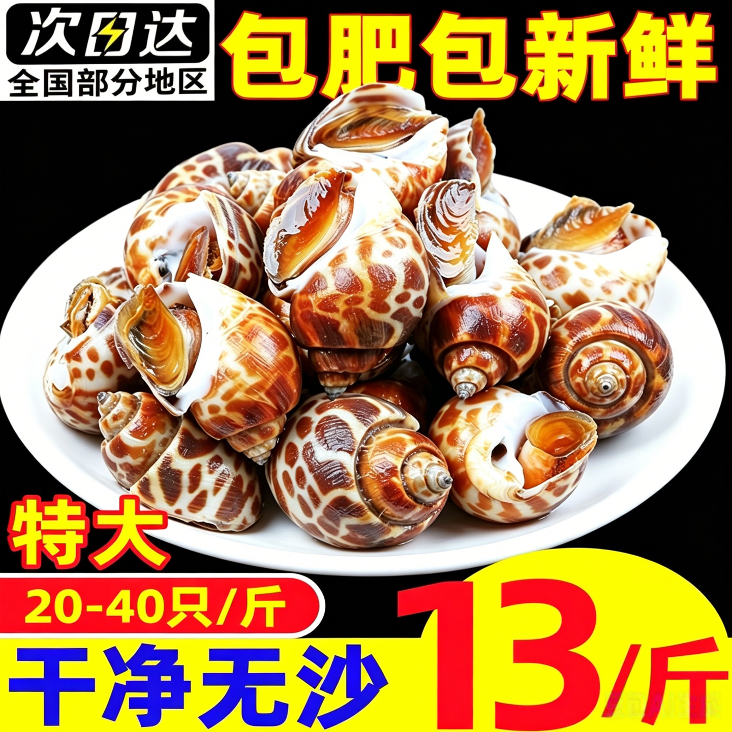 花螺鲜活新鲜海螺特大号海鲜水产鲜活鲜冻冷冻东风螺特大花螺贝类