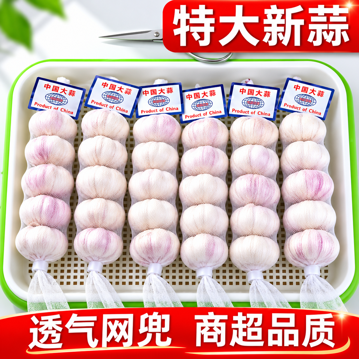 网兜紫皮干蒜新大蒜大果邳州净蒜大蒜蒜香浓郁新鲜大蒜 鲜蒜批发