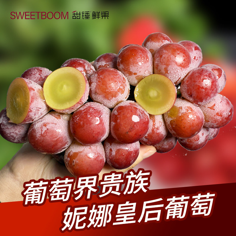 甜锤鲜果妮娜皇后葡萄红宝石红提新鲜提子贵族葡萄当季鲜果
