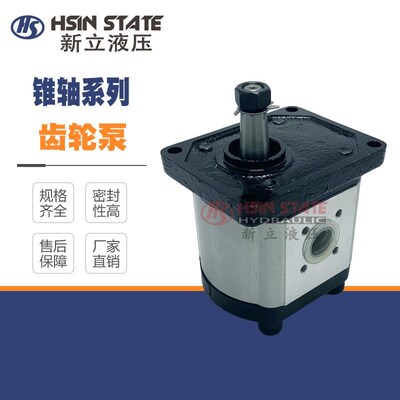 新款齿轮泵BHP2B0D12T0F1/D6/D10/D14/D16/D18/D20/D25/D28/D包邮