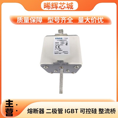 170M6203     170M6204低压快速熔断器  全新原装 量大从优