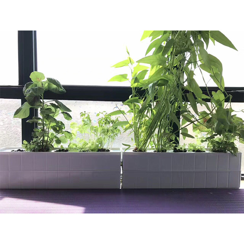 无土栽培蔬菜设备阳台种菜神器室内种植箱水培智能种菜机组合花盆