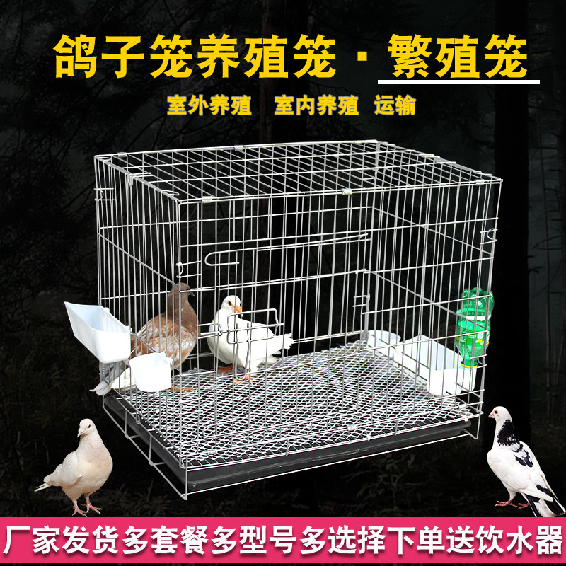 鸽子笼家用养殖繁育笼鸽笼配对笼成年鸽子用具鸽舍加密笼大号鸡笼