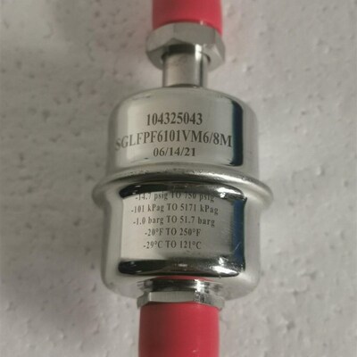 PALL过滤器 SGLFPF6101VM6/8M