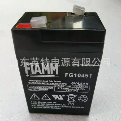 (FIAMM)非凡蓄电池FG1045