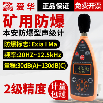 杭州爱华YSD130矿用本安型声级计 噪声分析仪 可选配1/1 OCT分析