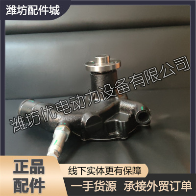潍柴原厂YZ4102Q4-19001L水泵总成Q4无轮21902234水泵总成