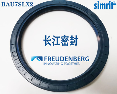 BAU7SLX2200-230-15300-340-20德国CFW油封双唇丁腈橡胶蓝色