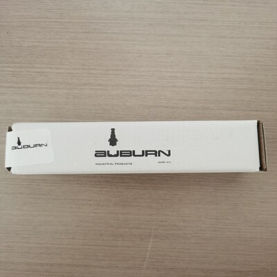 Auburn igniter I-31-1/maxon 23739 CS 12990