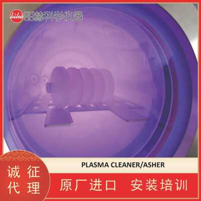 vactechniche英国 Plasma Cleaner/Asher