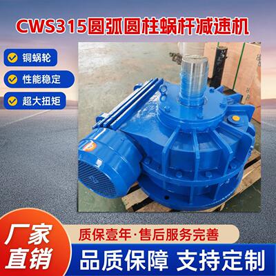 CWS280速机变位机用CWS250重型蜗轮蜗杆速机大速比可自锁